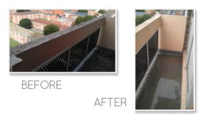 Pest Express | Emergency Pest Control